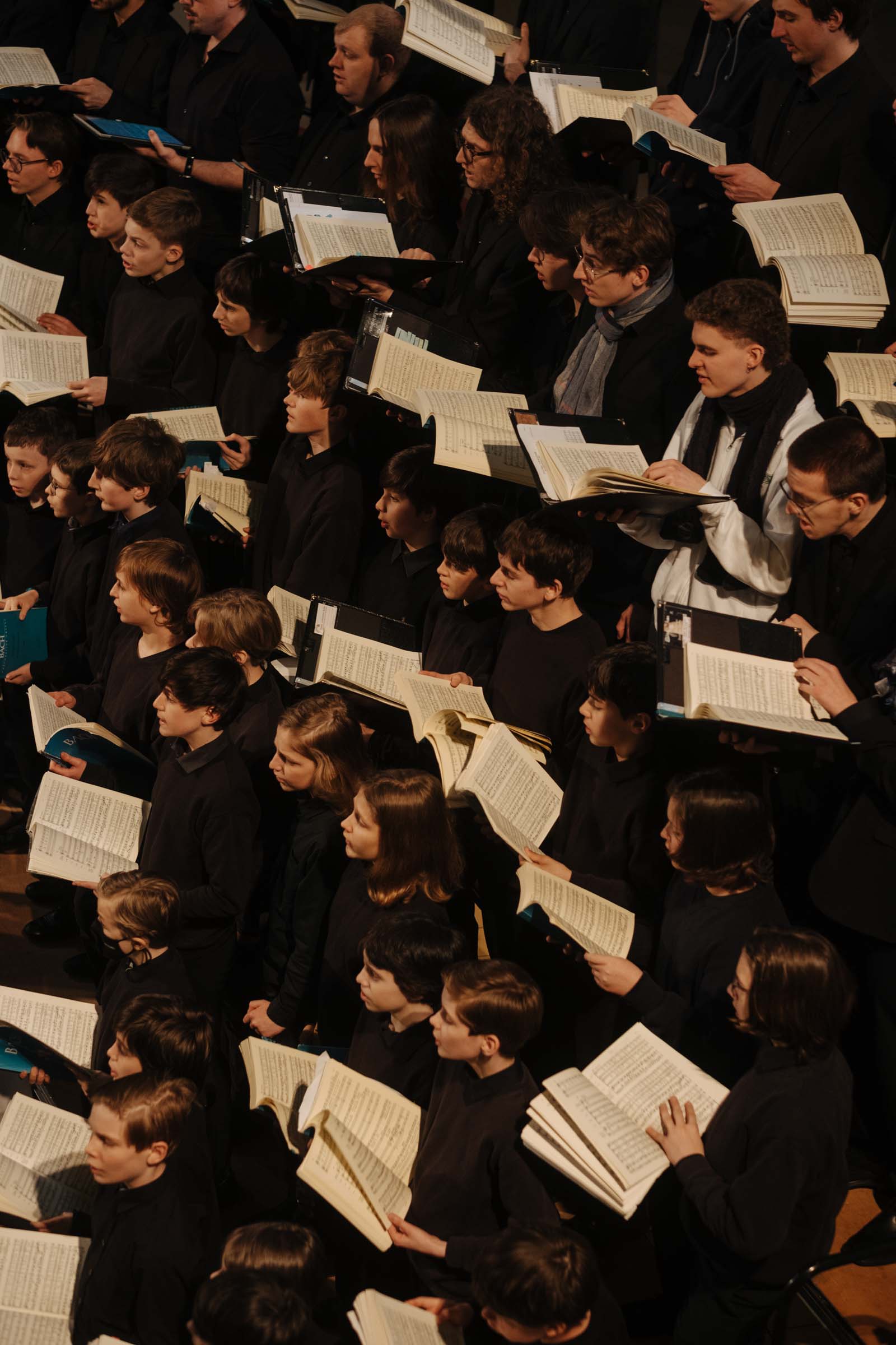 Maximilian Gödecke — ASSIGNMENTS